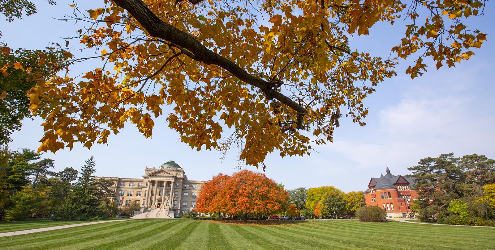 College of Engineering - Iowa State University College of Engineering - Iowa State University